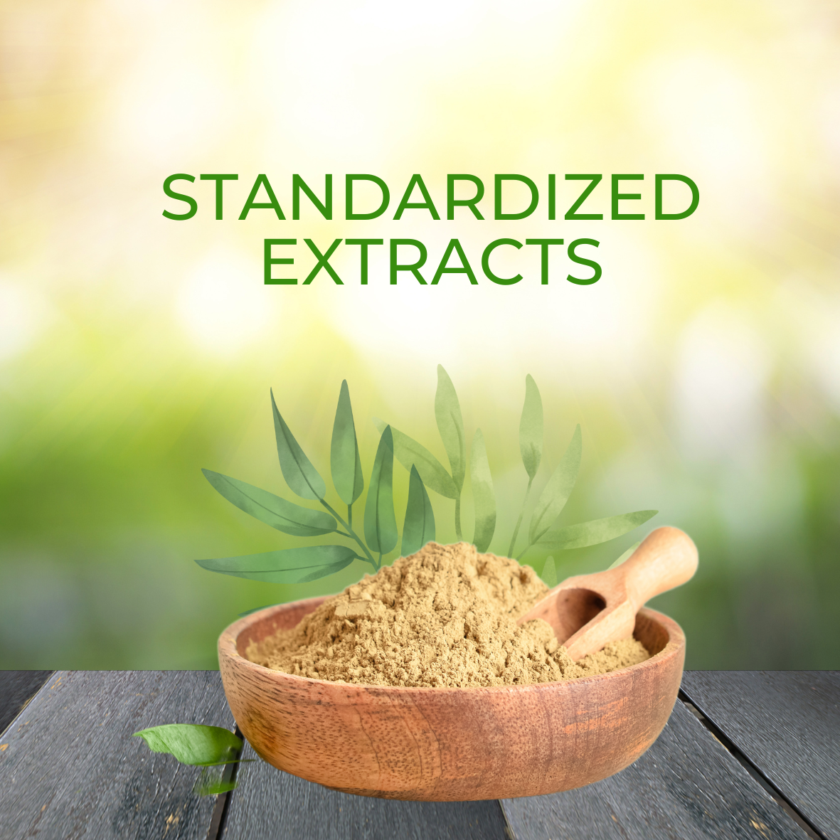 Bilberry Fruit Standardized Extract Powder | Whole Herb Exchange